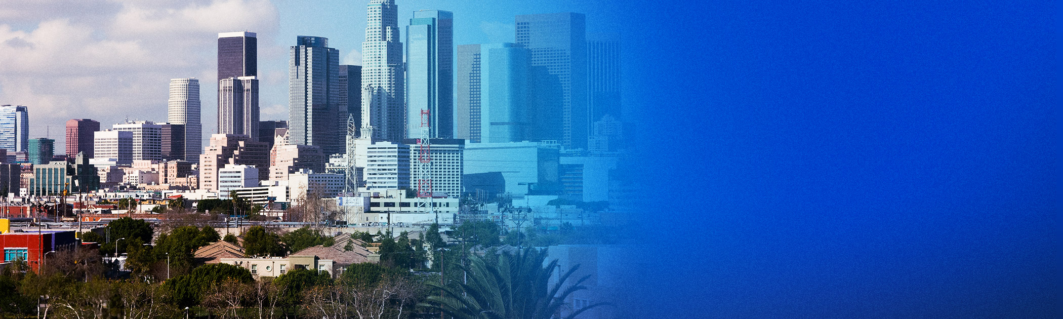 top_clients - MPM Co